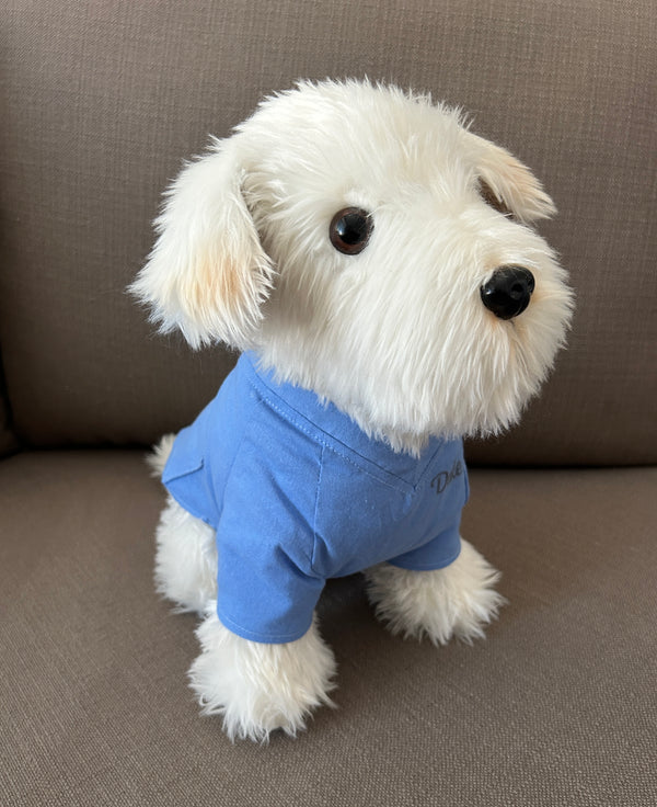 The Dogtor Deke Stuffy - PawkeyDogs